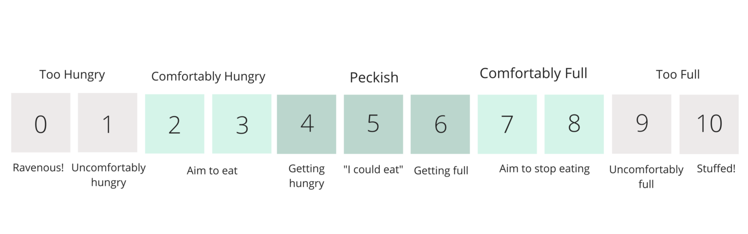 Intuitive Eating 101 - How To Use The The Hunger Scale
