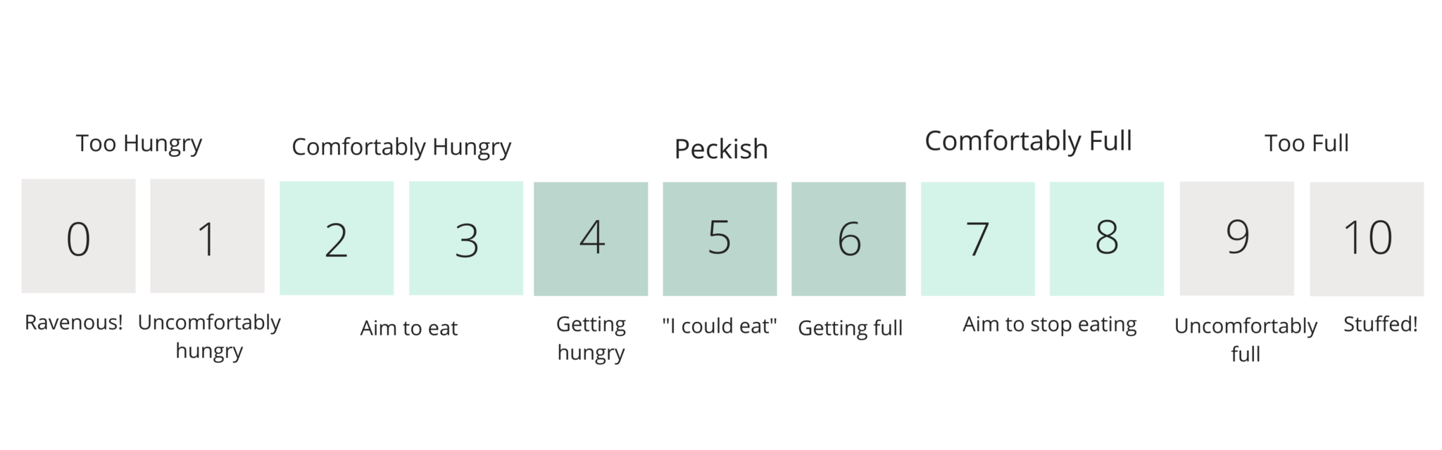 Intuitive Eating 101 - How To Use The The Hunger Scale